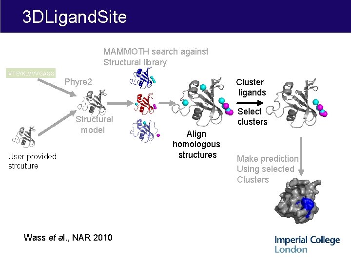 Modelling binding site with 3 DLigand Site Mark