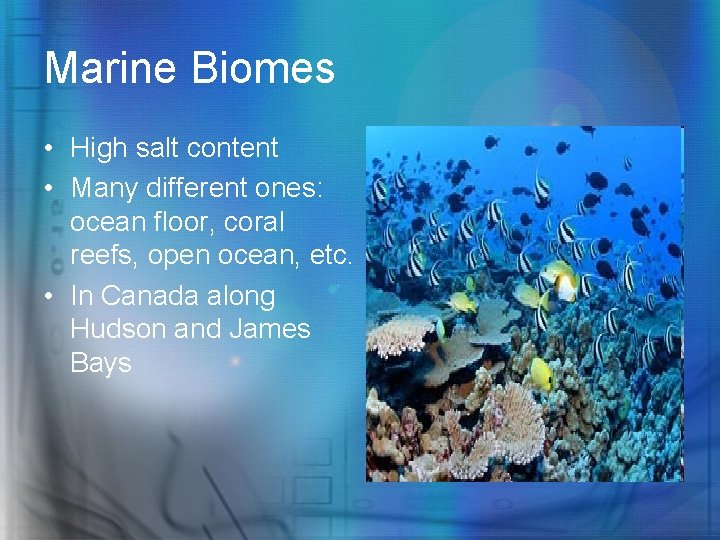 Canadian Biomes Canadian Biomes Regions of Canada separated