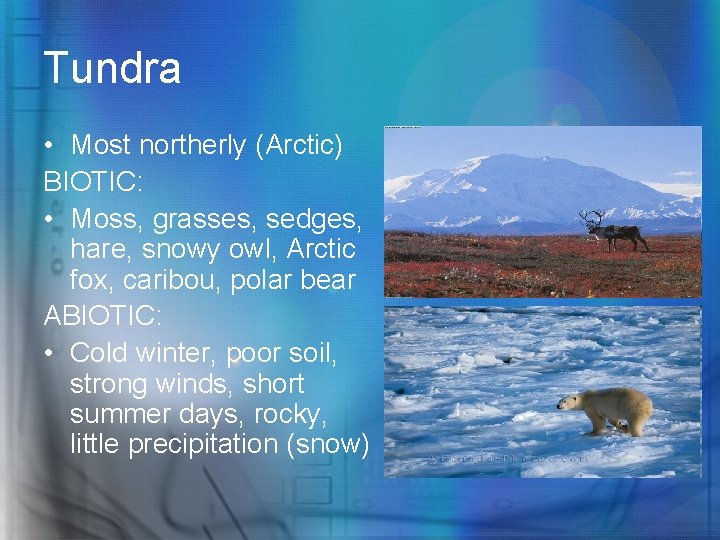 Canadian Biomes Canadian Biomes Regions of Canada separated