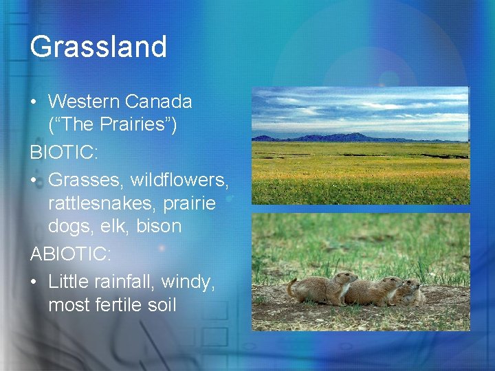Canadian Biomes Canadian Biomes Regions of Canada separated