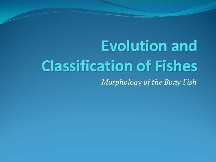 Evolution and Classification of Fishes Morphology of the