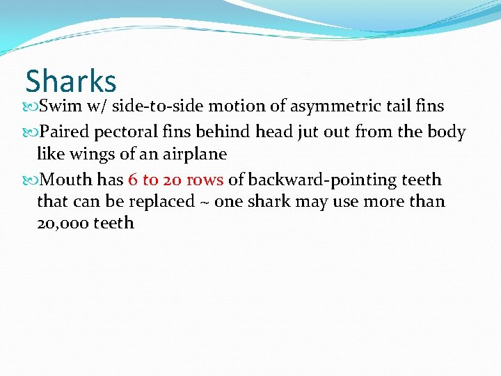 Evolution and Classification of Fishes Morphology of the