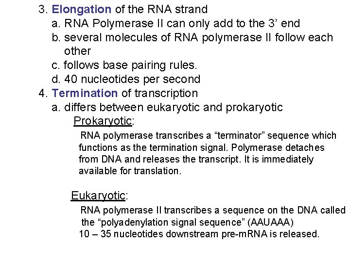 I The connection between genes and proteins A