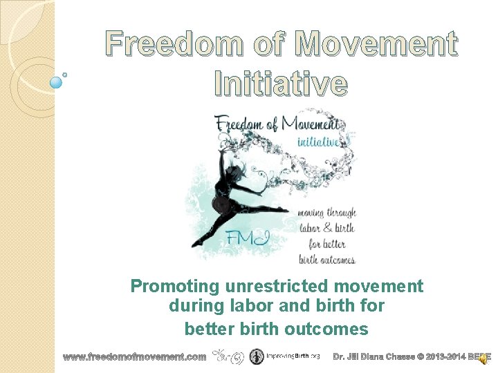 Freedom of Movement Initiative Promoting unrestricted movement during