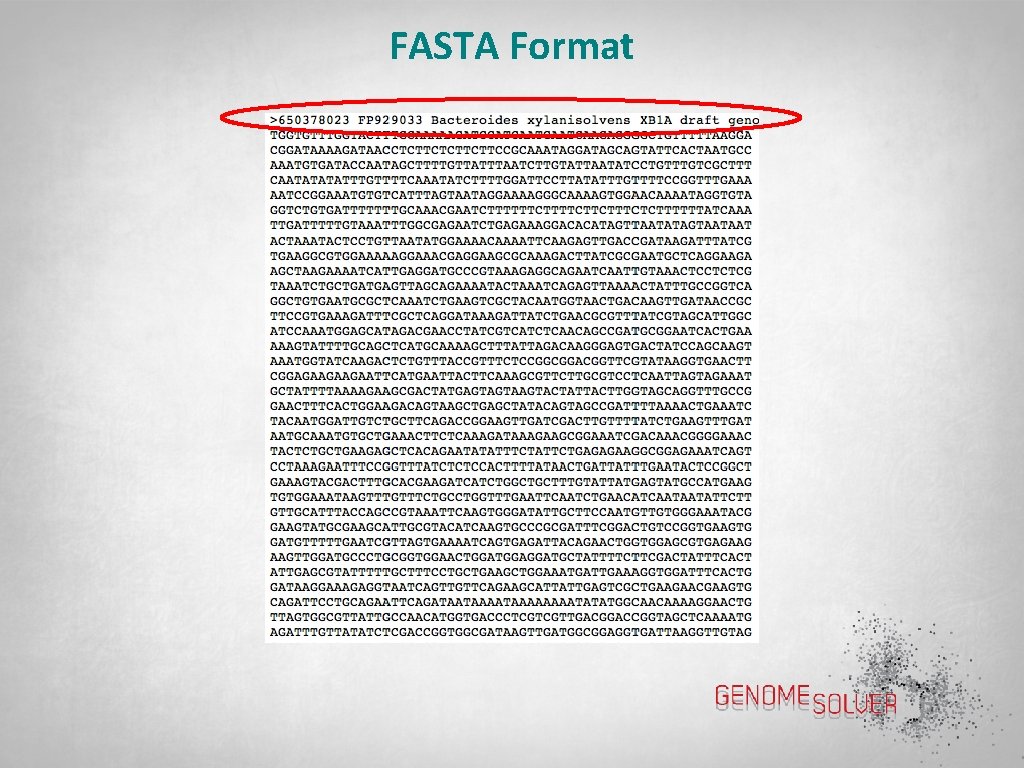 F 19 BMS 370 Project III Using BLAST