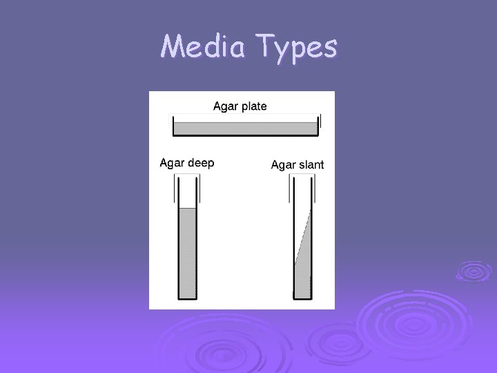 Microbiology Techniques 2008 Media Types How to hold