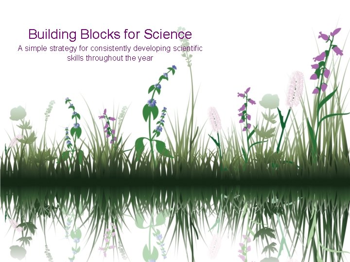 Building Blocks for Science A simple strategy for