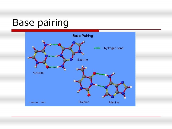 BLAT Molecular and Immunological Methods Molecular and Immunological