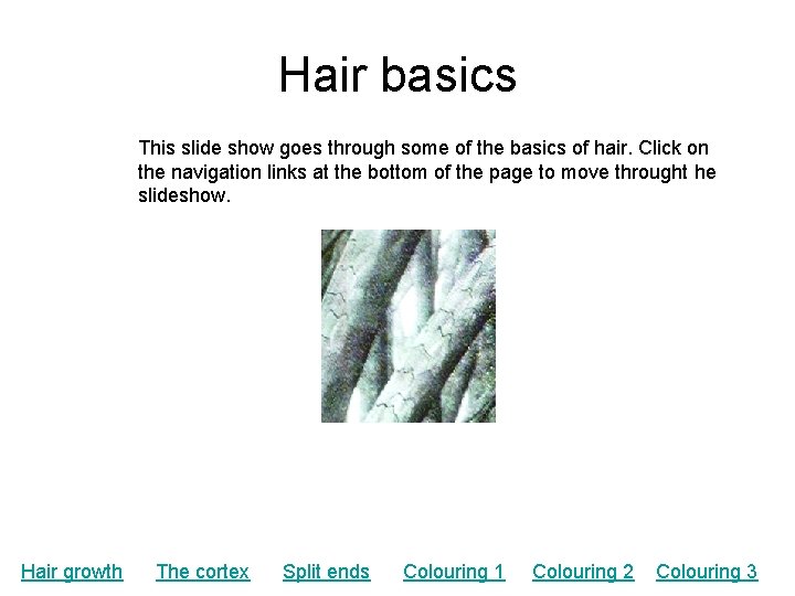 Hair basics This slide show goes through some