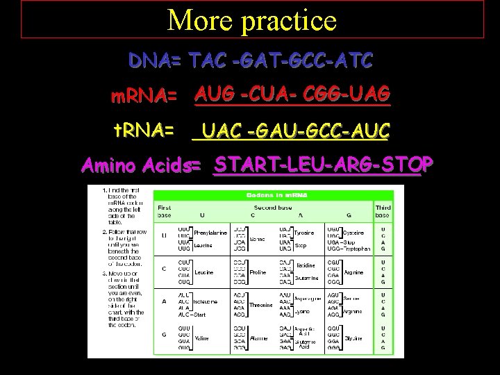 RIBONUCLEIC ACID RNA HOW IS RNA DIFFERENT FROM