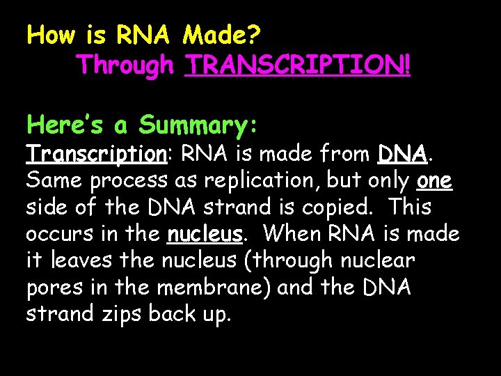 RIBONUCLEIC ACID RNA HOW IS RNA DIFFERENT FROM