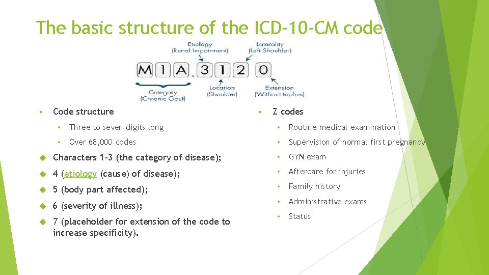CODES Chapter 3 Medical Billing Codes Numbers letters