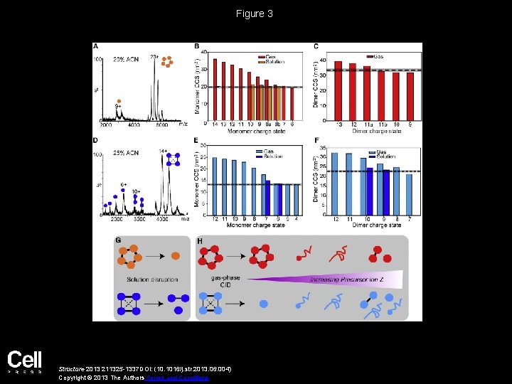 The Role of Salt Bridges Charge Density and