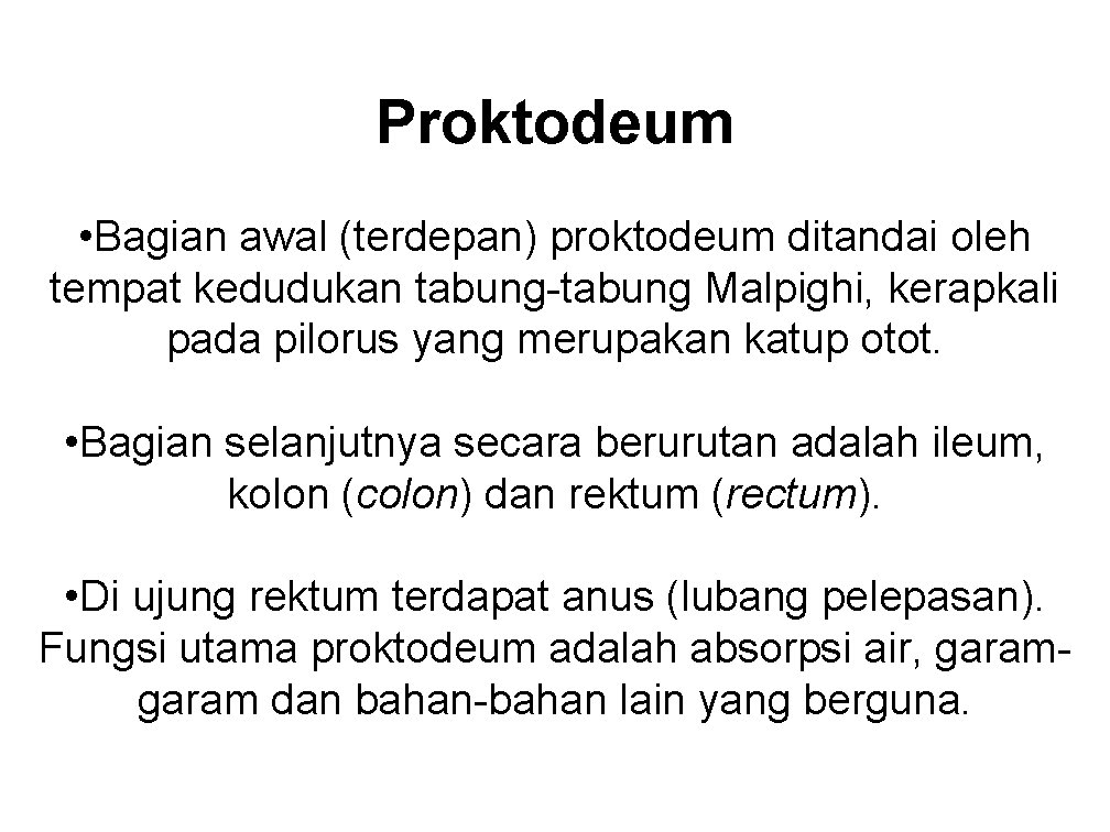 1 SISTEM PENCERNAAN Bentuk morfologi saluran pencernaan tergantung
