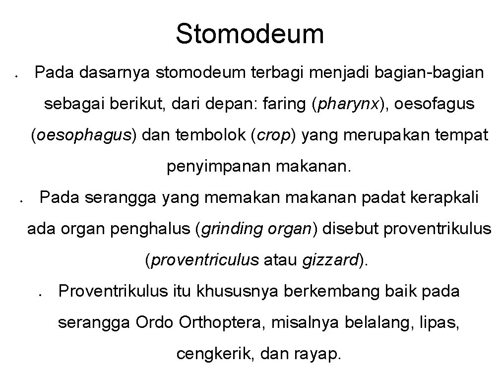 1 SISTEM PENCERNAAN Bentuk morfologi saluran pencernaan tergantung