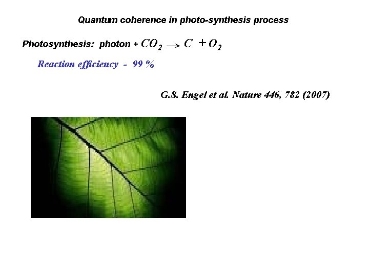 Quantum Signalling in Biological systems ORLANDO project S