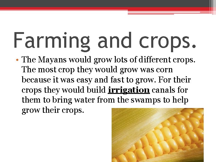 How the Mayans adapted to their environment By