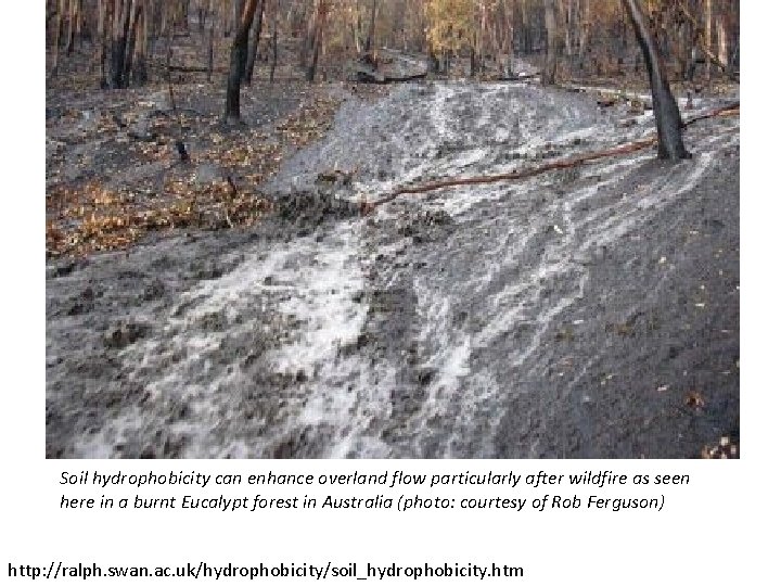 Soil water fundamentals Contact angle the angle at