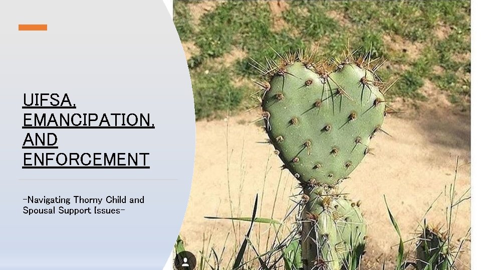 UIFSA EMANCIPATION AND ENFORCEMENT Navigating Thorny Child and