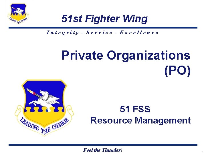 51 st Fighter Wing Integrity Service Excellence Private