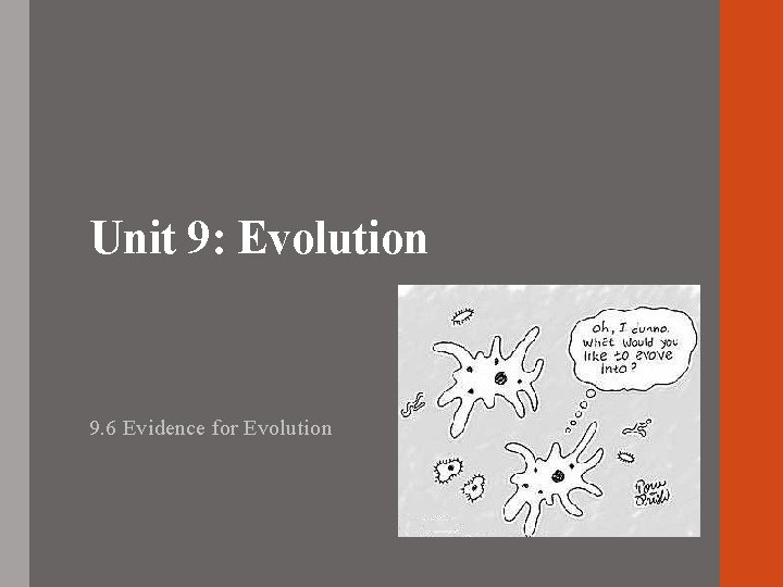 Unit 9 Evolution 9 6 Evidence for Evolution