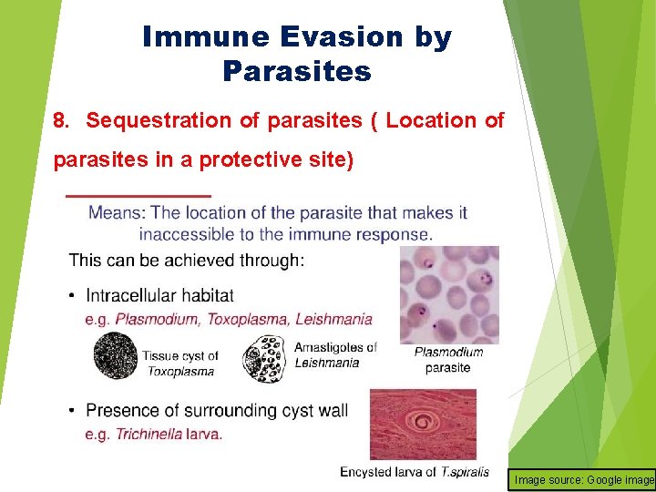 Immune Evasion by Parasites Dr AJIT KUMAR Department