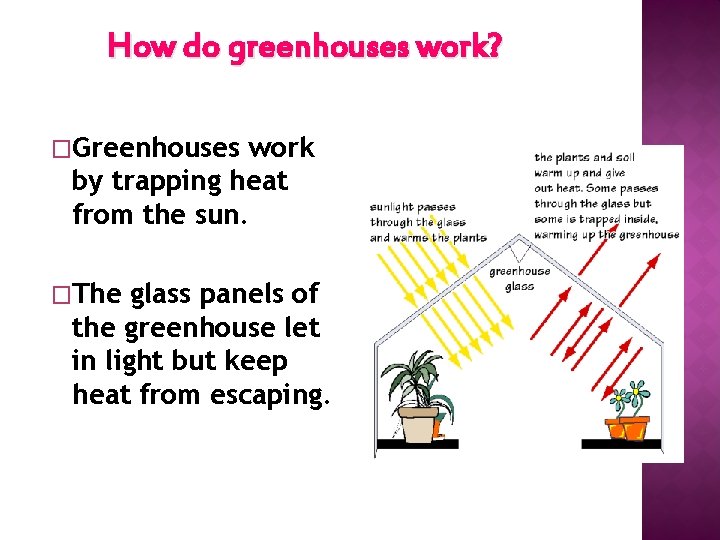 GLOBAL WARMING AND THE GREEN HOUSE EFFECT Presented
