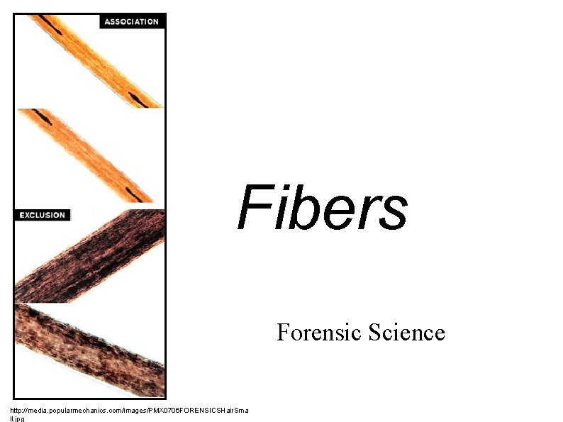 Fibers Forensic Science http media popularmechanics comimagesPMX 0706