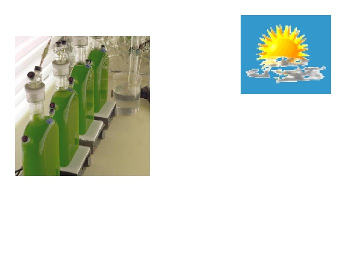 Energy Challenge and Nanotechnology Prashant V Kamat Radiation