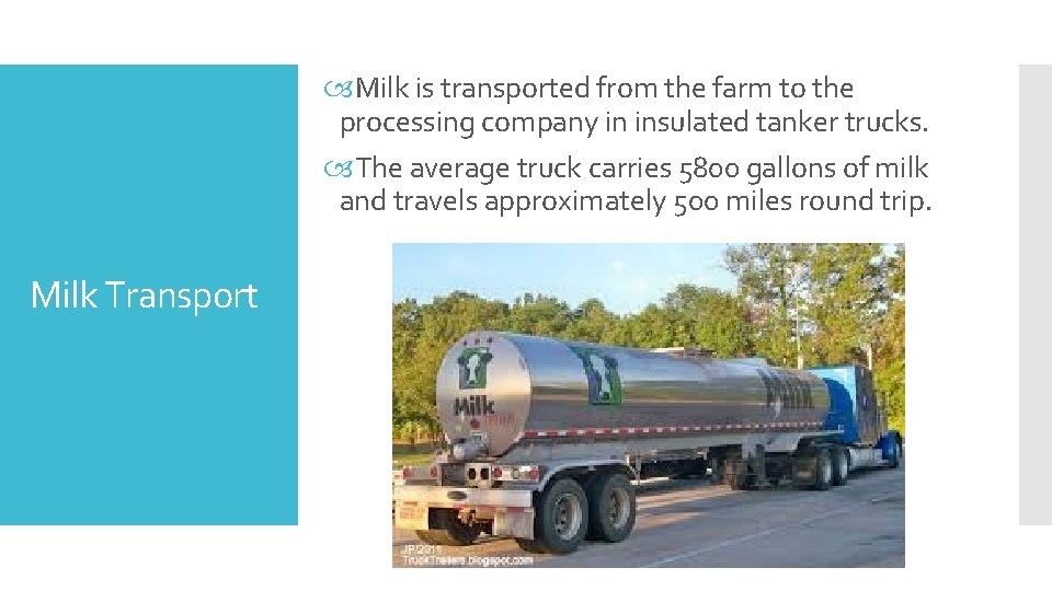 Milk From the Farm to the Table Ms