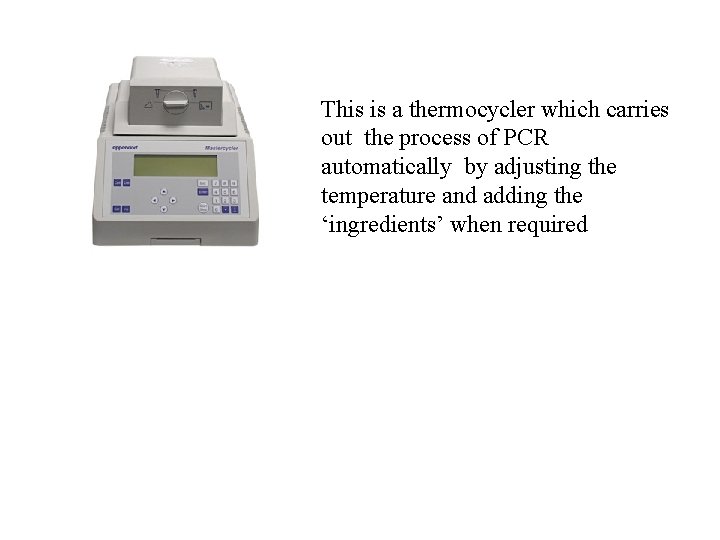 Success criteria PCR By the end of this
