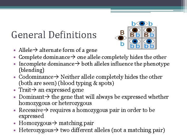 Genetics Field of Biology based on understanding how