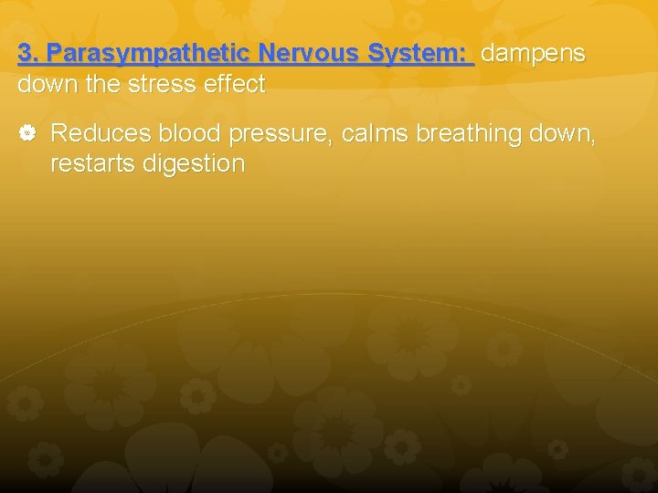 Biopsychology Lesson 4 The Fight or Flight Response