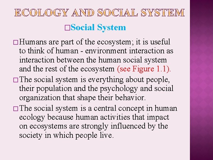 Social Humans System are part of the ecosystem