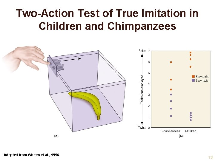Chapter 11 Observational Learning Watching Listening and Remembering