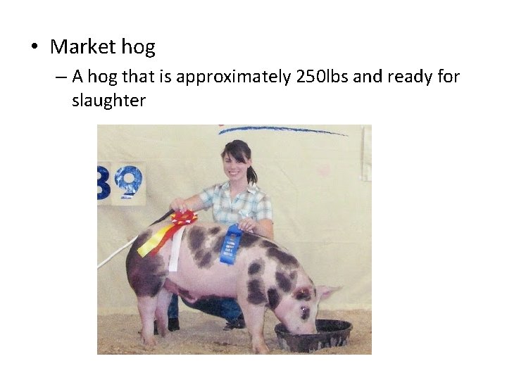 Swine Production Introduction to Animal Science Swine Terminology