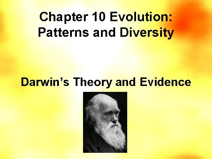 Chapter 10 Evolution Patterns and Diversity Darwins Theory