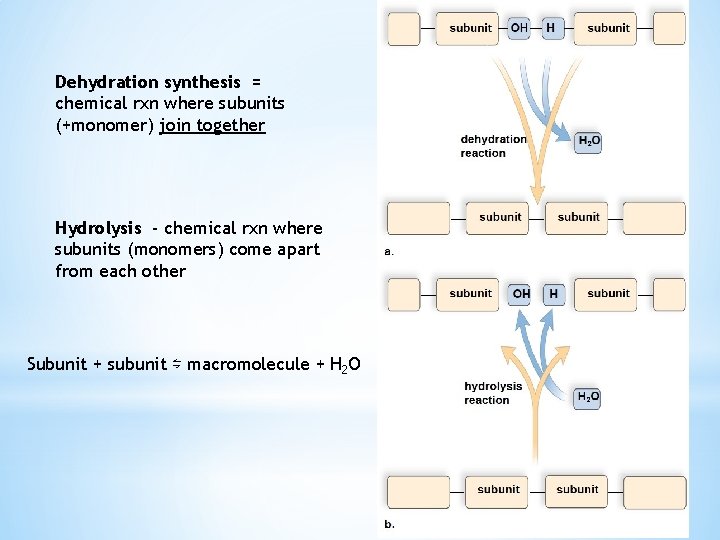 BIOLOGY 067 Final Review Elements Cannot be broken