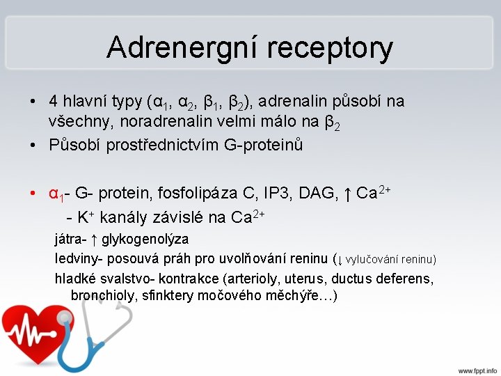 Neurotransmitery ANS a jejich receptory Vztah ANS k