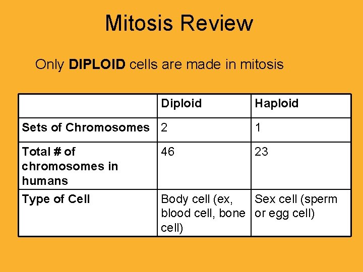 DoNow Review from Mitosis A human body cell
