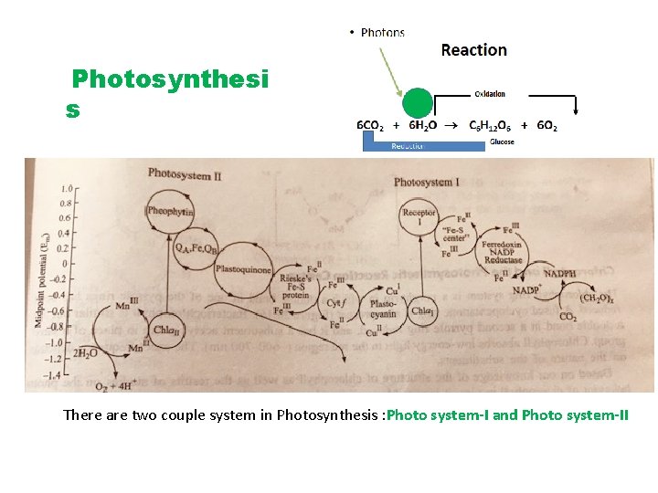 Photosynthesis UNIT 1 BIOINORGANIC CHEMISTRY Prof Sartaj Tabassum