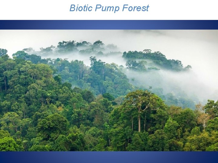 HOW NOT TO GO EXTINCT Free Monthly Webinar