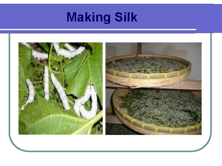 What is Biotechnology What do you think l