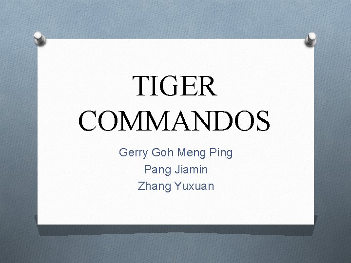 TIGER COMMANDOS Gerry Goh Meng Ping Pang Jiamin