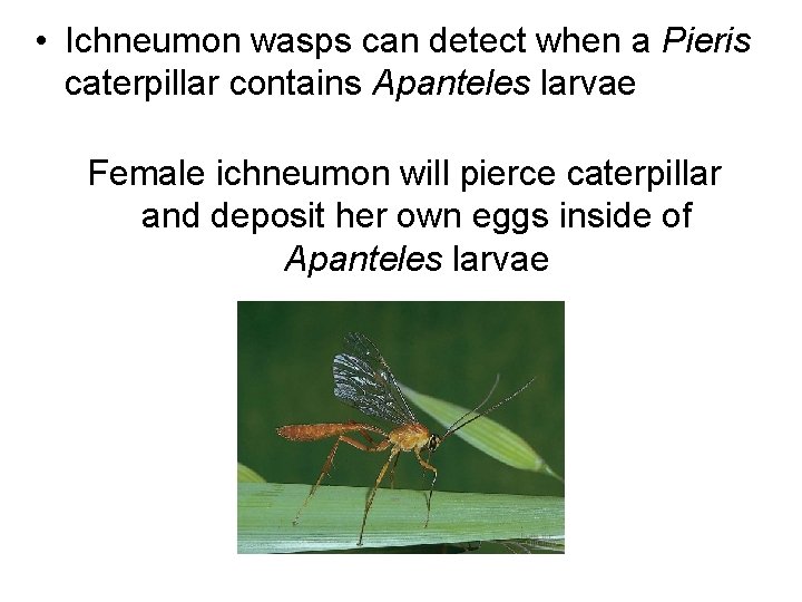 Biology 213 Chapter 54 Community Ecology Please turn