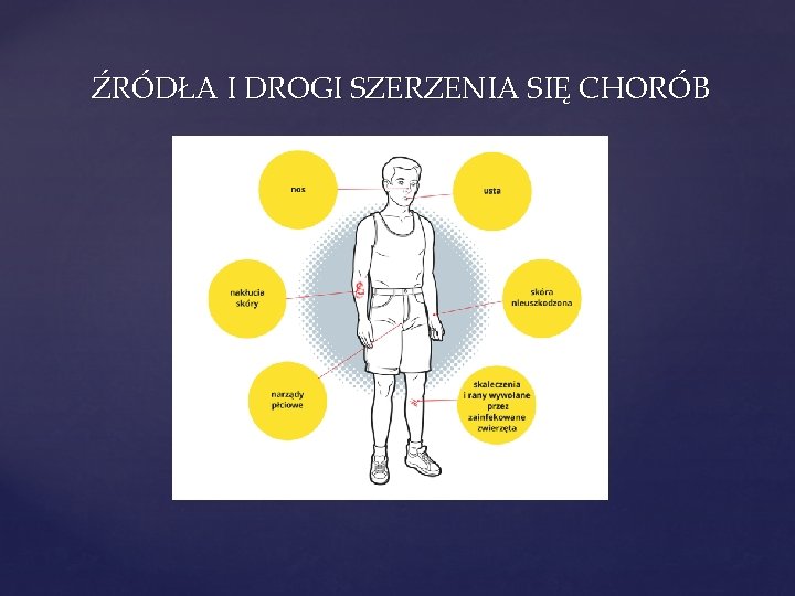 Wicej wiem mniej choruje Program profilaktyki chorb zakanych