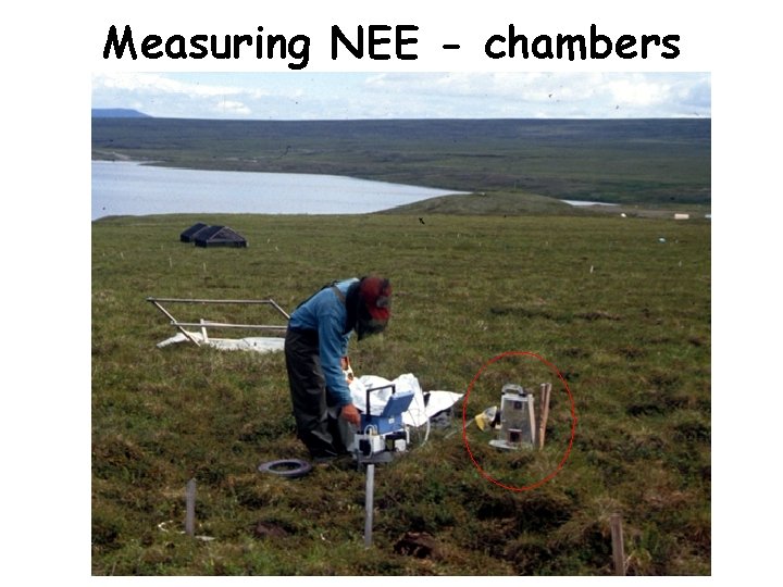 The Carbon Cycle 3 I Introduction Changes to
