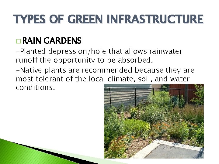 GREEN INFRASTRUCTURE By Derek Cotroneo INTRODUCTION What is