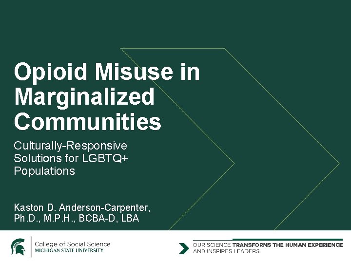 Opioid Misuse in Marginalized Communities CulturallyResponsive ...