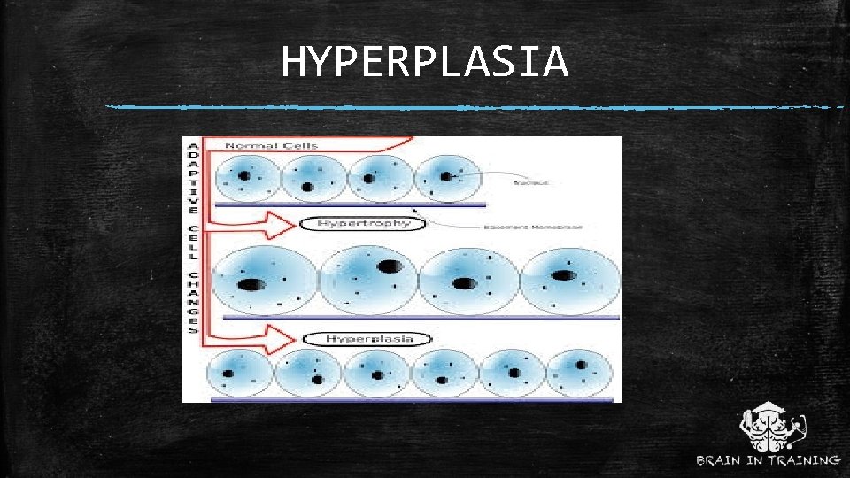 FDT PATHOLOGY INTRODUCTION TO BASIC PATHOLOGY WHY PATH
